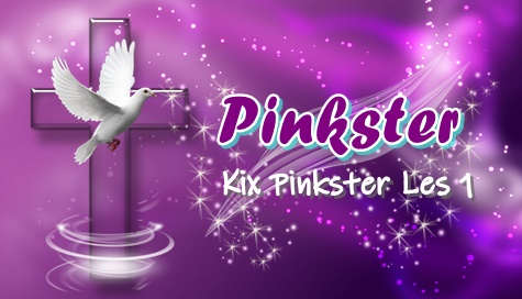 Pinkster: Kix Pinkster Les 1