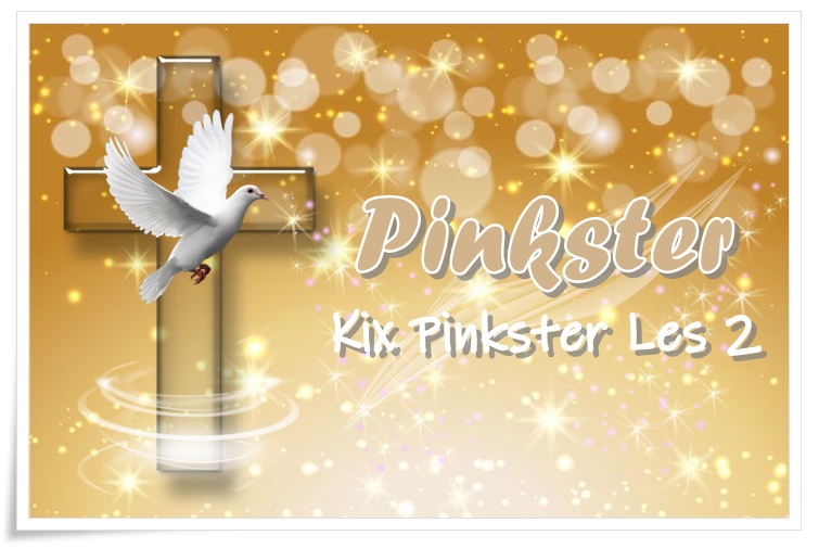 Pinkster: Kix Pinkster Les 2