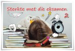 Sterkte met die Eksamen 2