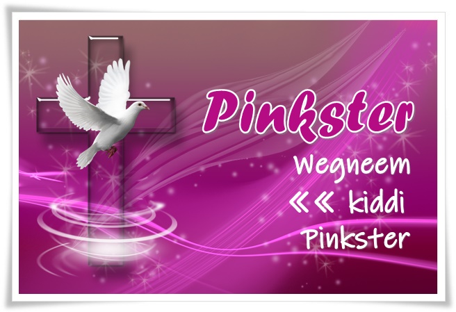 Pinkster: Wegneem Kiddi Pinkster