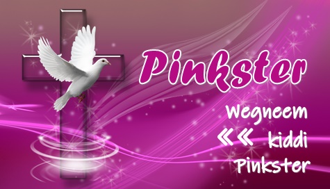 Pinkster: Wegneem Kiddi Pinkster